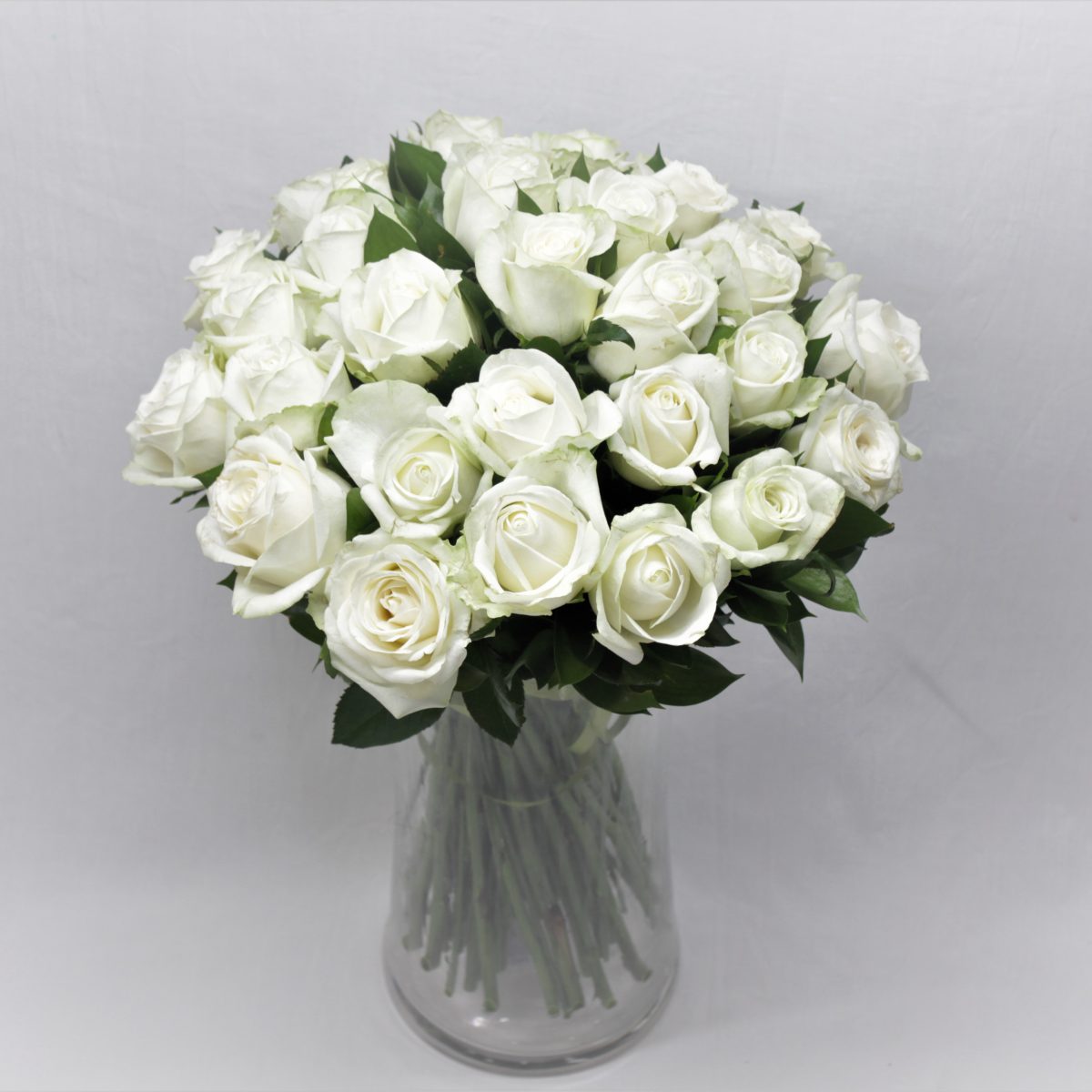 Eternal Red Rose - primarosa