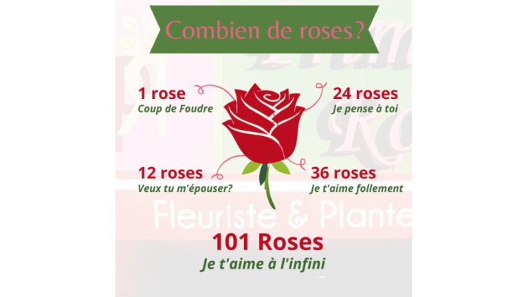 LE NOMBRE DE ROSES PERMET D’INDIQUER L’INTENSITÉ DE SES SENTIMENTS ...